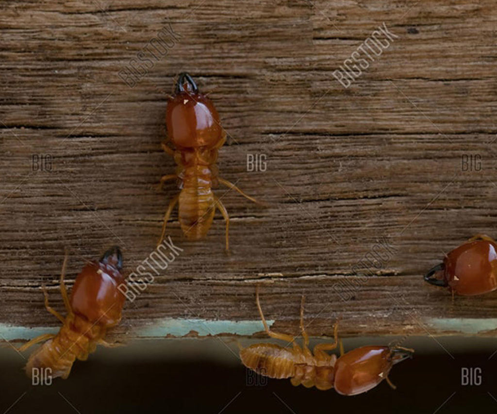 Friday, August 2nd, 2019