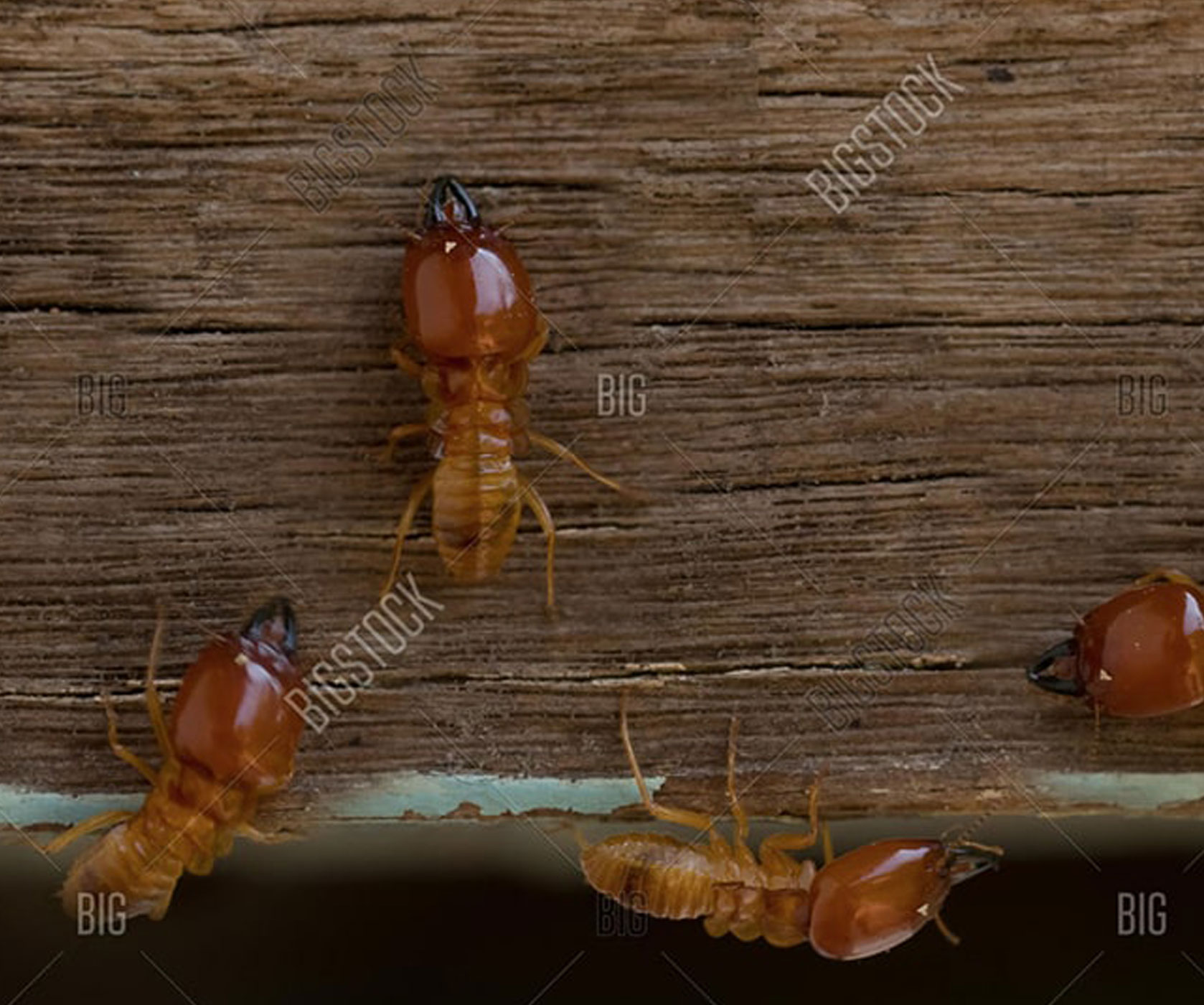 Friday, August 2nd, 2019